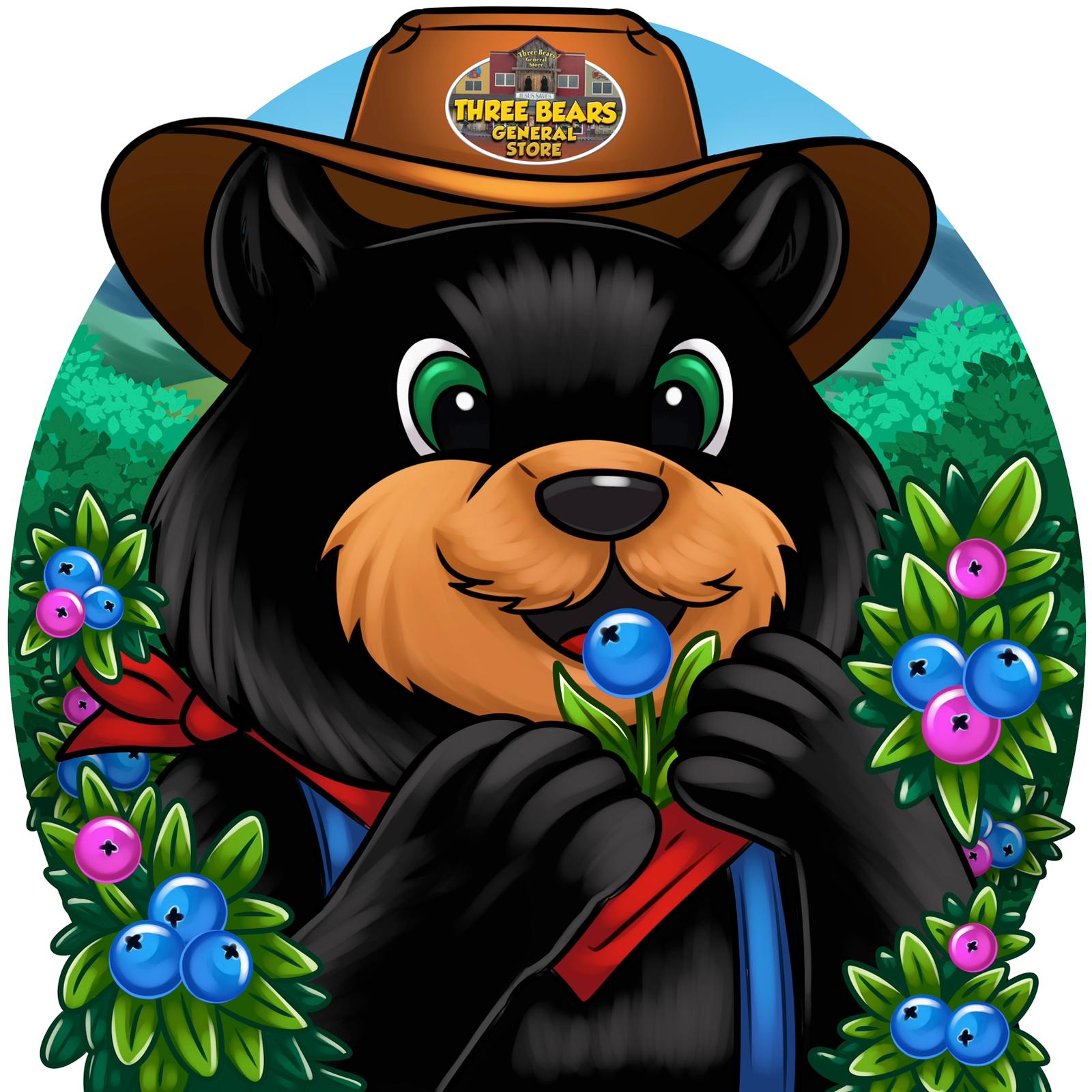 BEAR DISCOVERY SHEET - Three Bears General Store